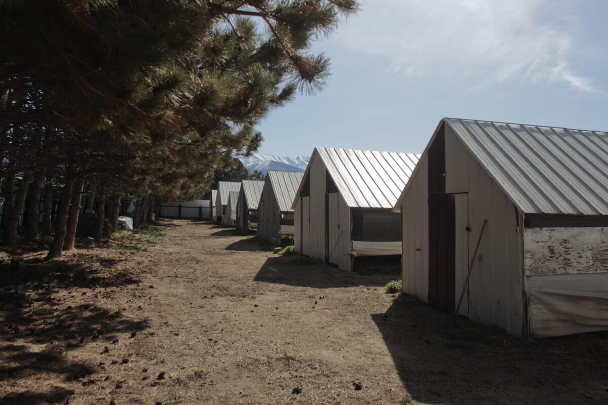 Dixon mink farm in Lehi drops agricultural protection, plans to ...